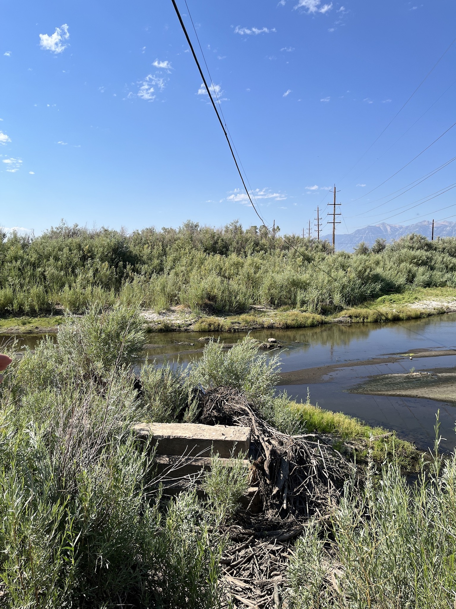 Trail Map to Minden - Historic Virginia & Truckee Trail